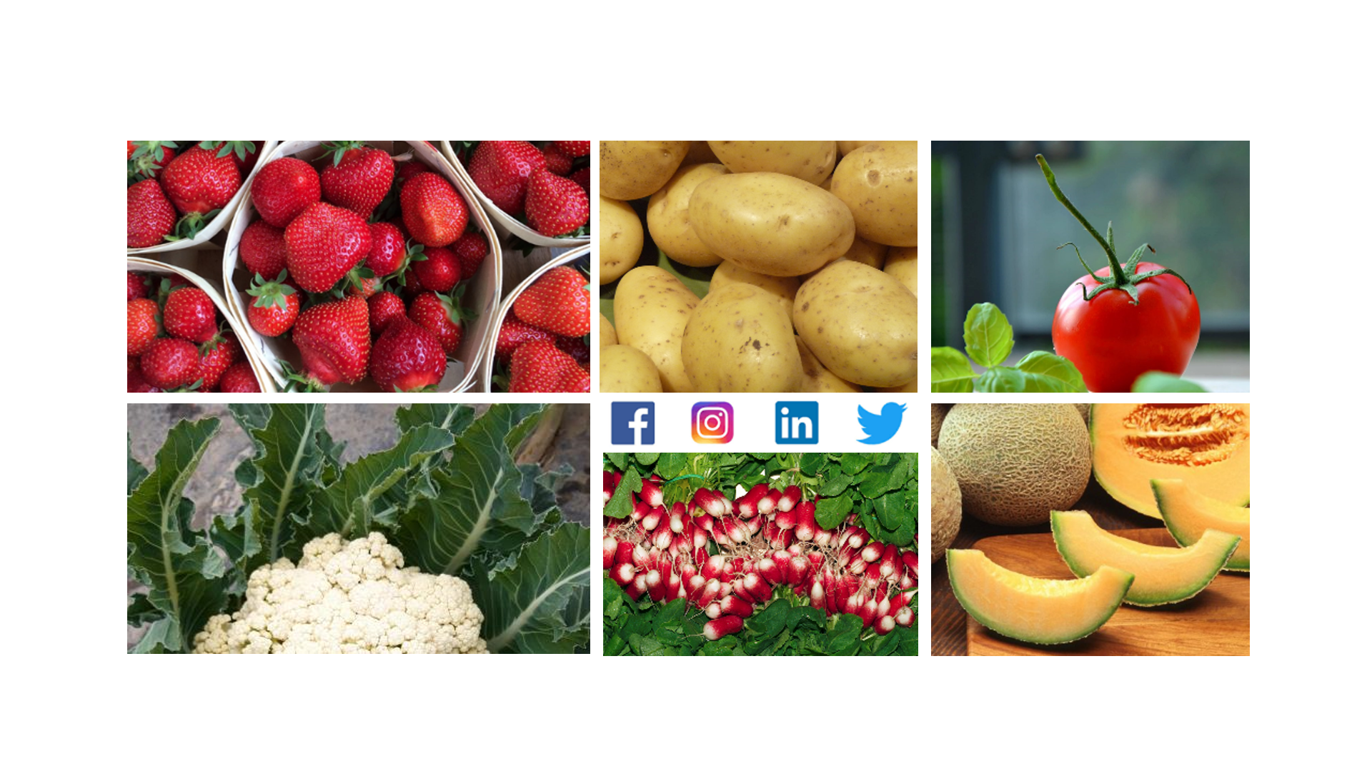 Vous travaillez avec la terre ? - J3C Agri